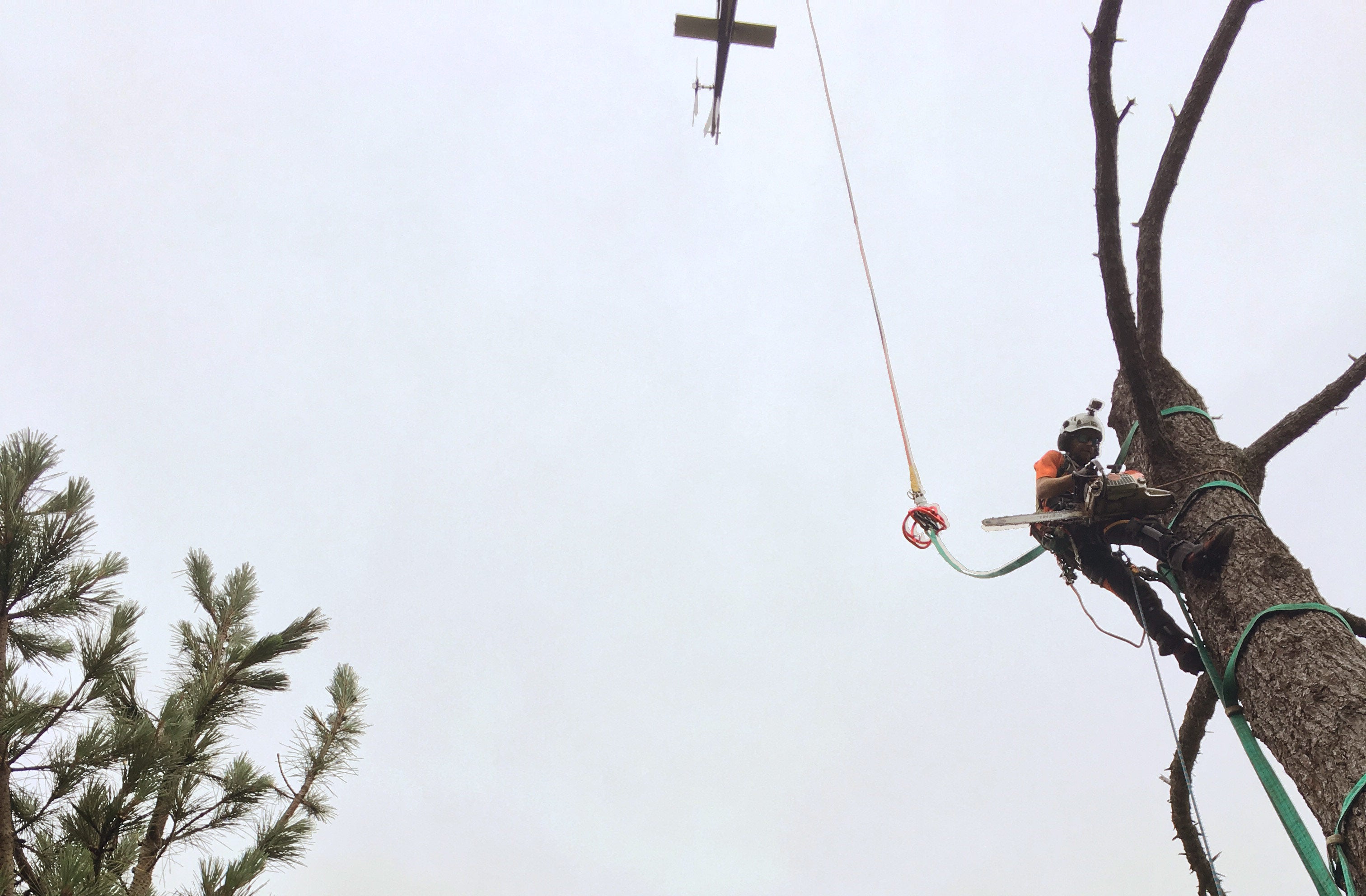 HELICOPTER TREEWORK 101 – Reecoil