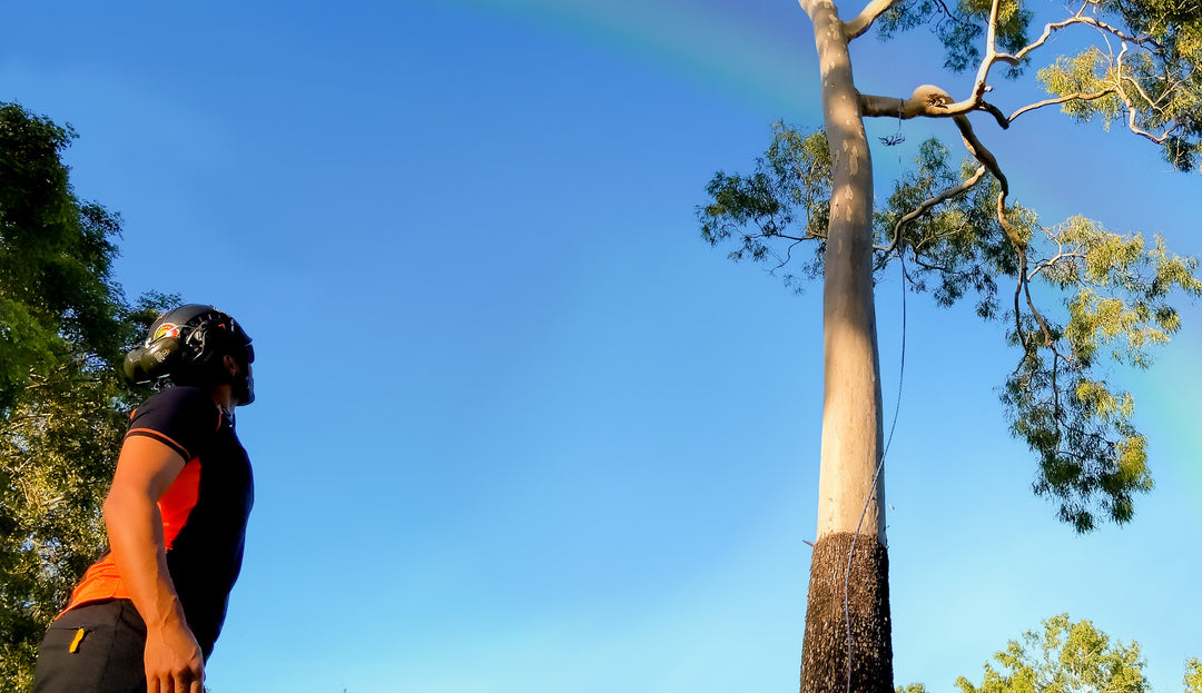 How To Use A Throw Line To Climb A Tree – Reecoil